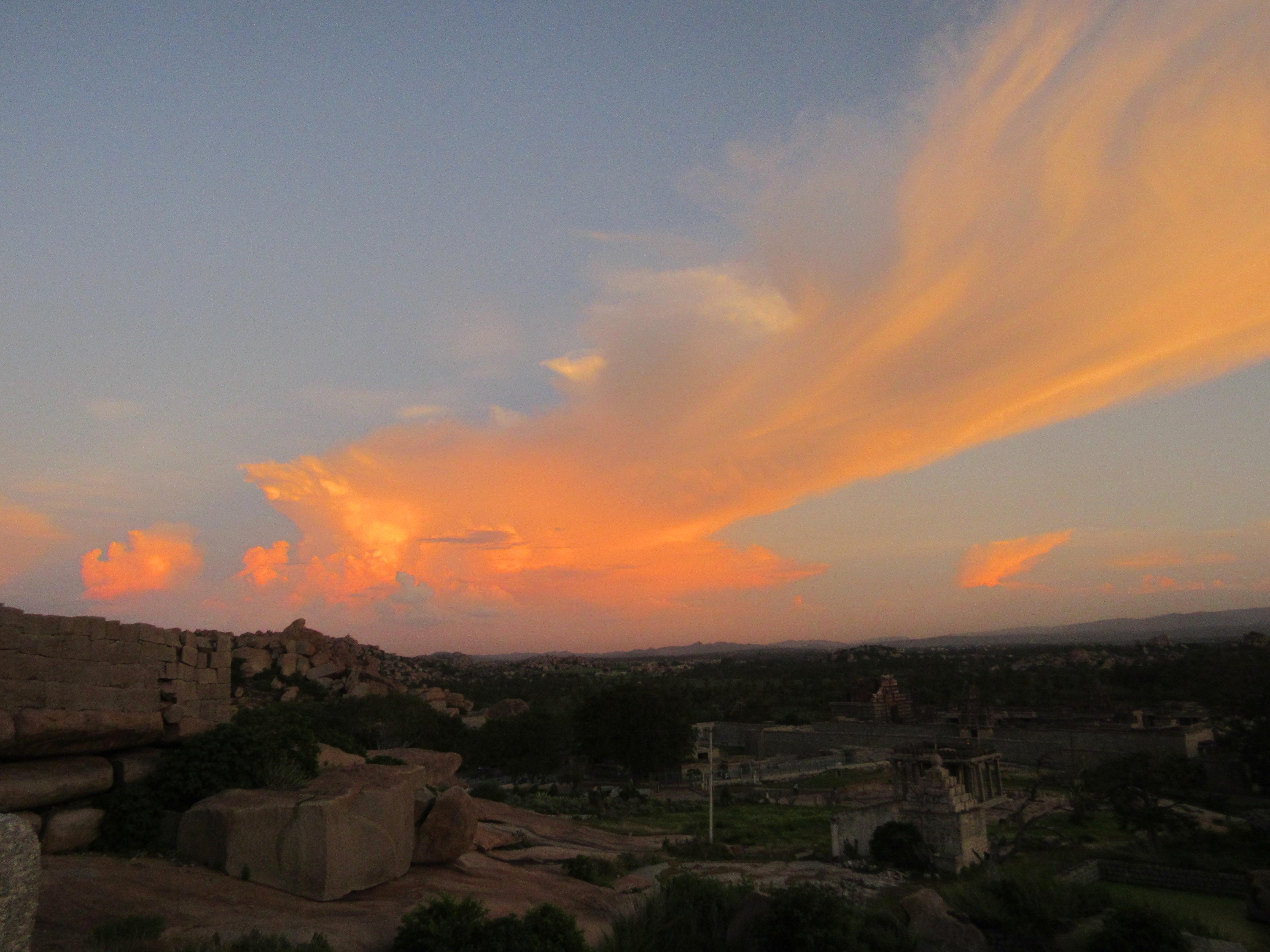 Nature News | Reach the World