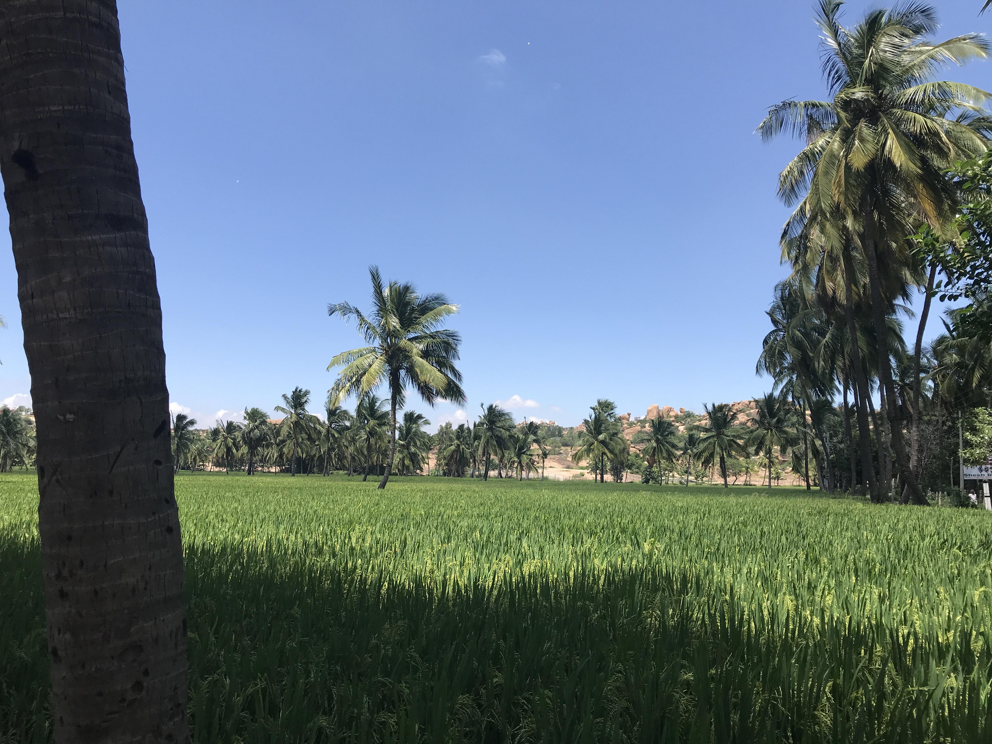 Nature News | Reach the World