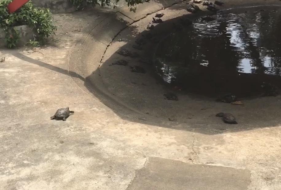 Nature News | Reach the World