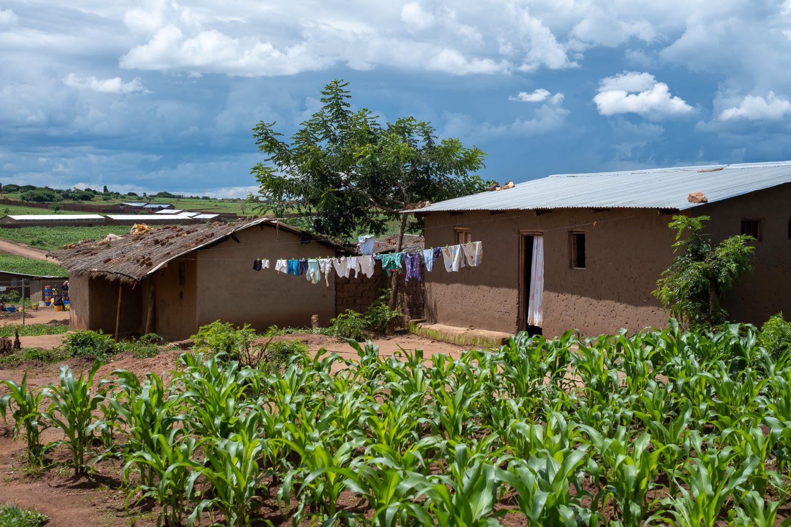 Resources and Job Opportunities | Reach the World