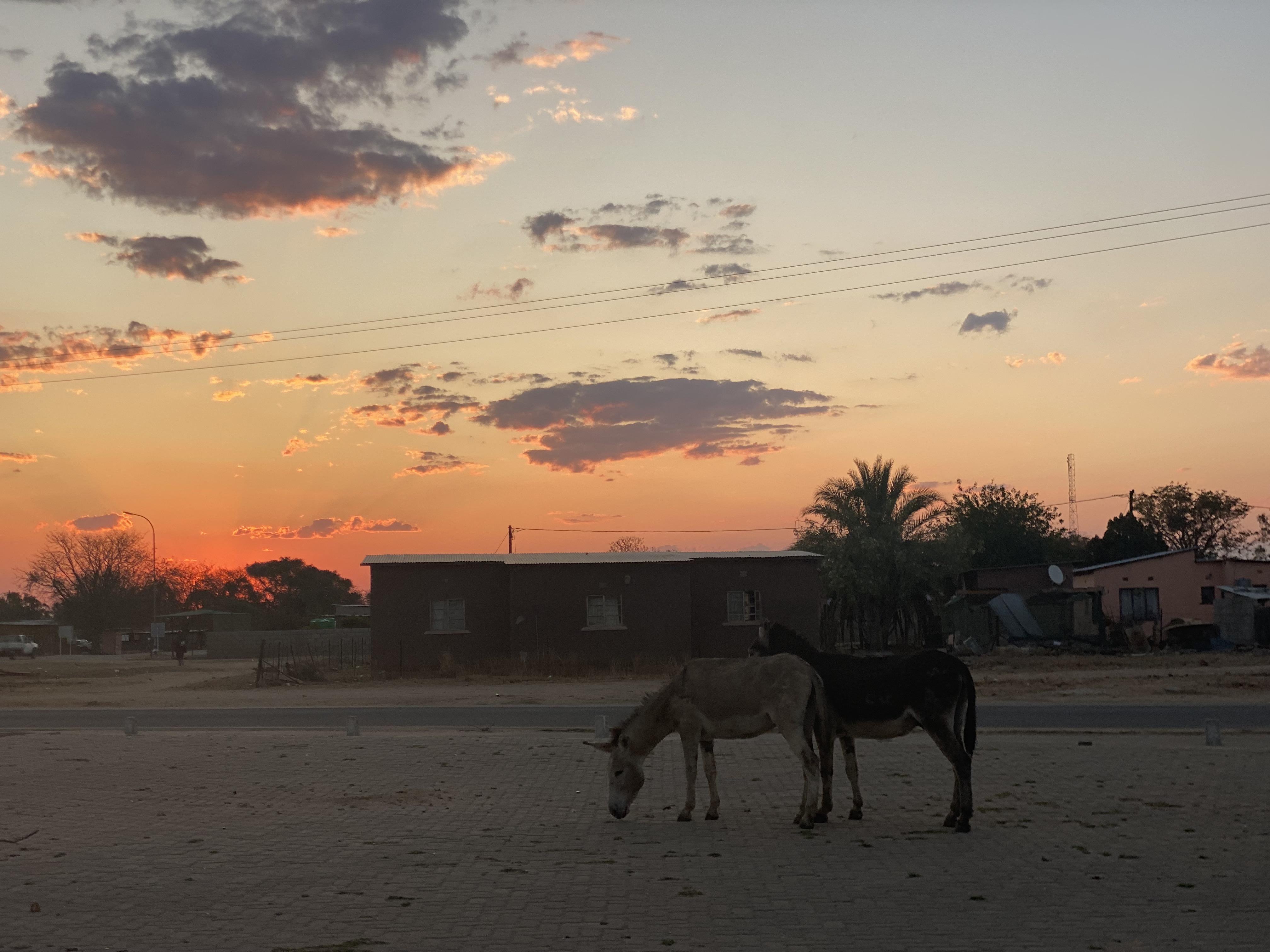 A Little About Me! | Reach the World